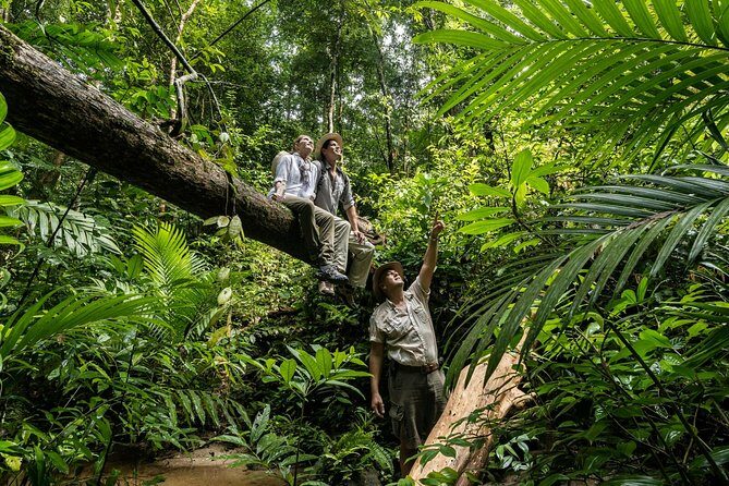Langkawi Rainforest Jungle Trekking Tour with Private Pickup - The Sum Up