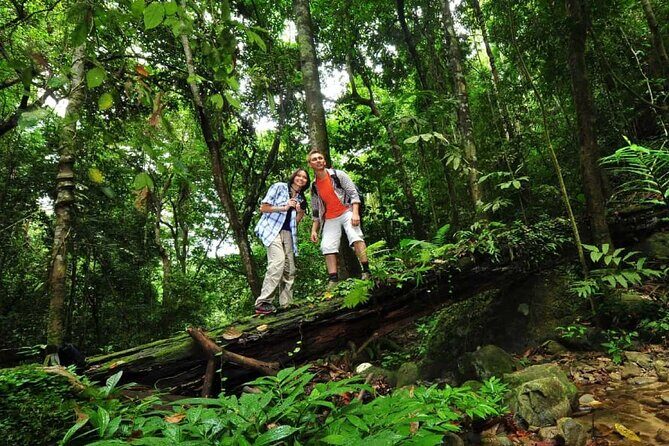 Langkawi Rainforest Jungle Trekking Tour with Private Pickup - FAQs