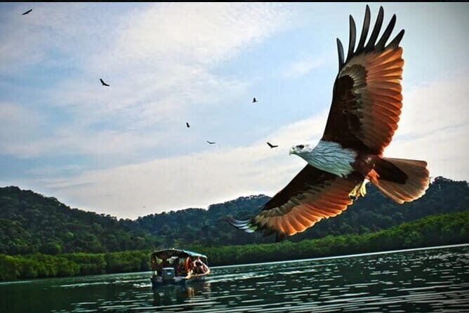 Langkawi Return Airport Transfers (Combo Arrival & Departure) - How This Service Stands Out