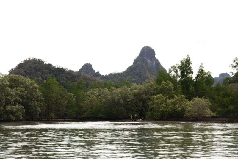 Langkawi Royal Mangrove Tour with Snorkeling Package - Practical Tips for Your Tour
