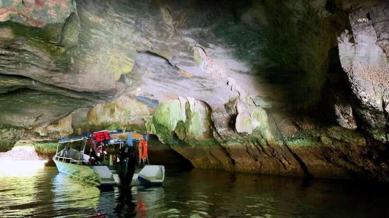 Langkawi Signature Mangrove Discovery Boat Tour (Shared) - A Taste of Local Flavors