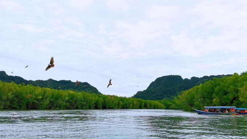 Langkawi Signature Mangrove Discovery Boat Tour (Shared) - Practical Details and Logistics