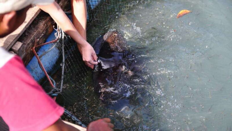 Langkawi Signature Mangrove Discovery Boat Tour (Shared) - The Sum Up: Who Will Love This Tour?