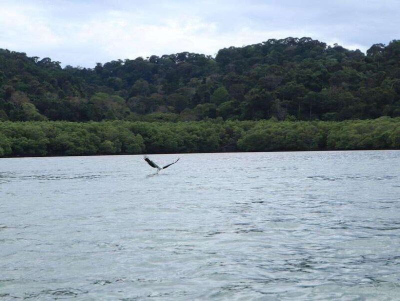 Langkawi: Southern Island Geopark Tour - The Value of the Tour