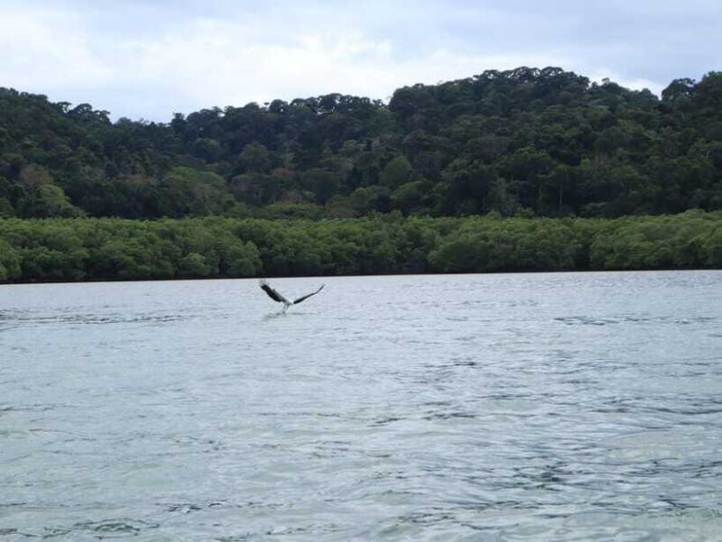 Langkawi: Southern Island Geopark Tour - The Sum Up