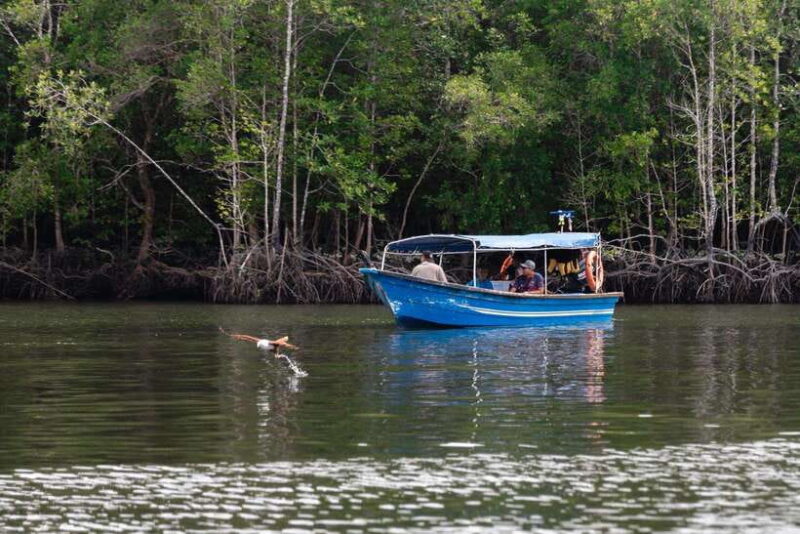 Langkawi Tanjung Rhu Mangrove Private Boat Tour 2 Hours - Key Points