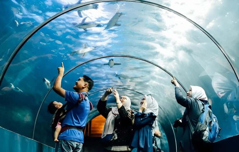 Langkawi: Underwater World Langkawi Entry Ticket - Key Points