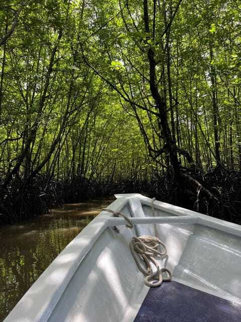 Langkawi: UNESCO Global Geopark Mangrove Cruise - Final Thoughts