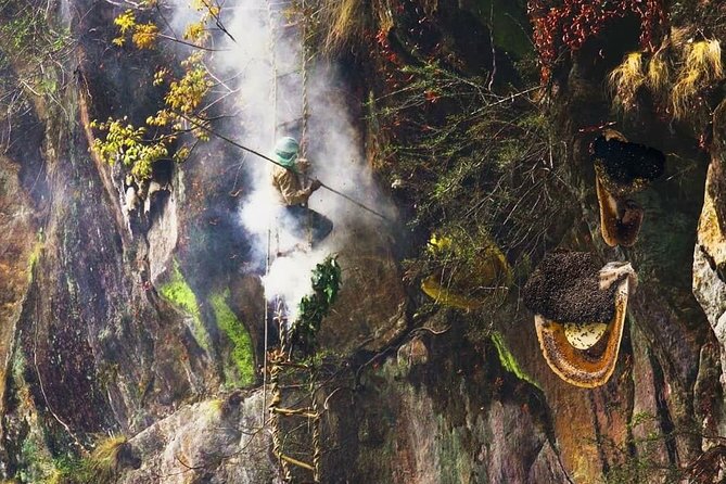 Langtang Kyanjin Gompa Trek - 11 Days - Exploring the Langtang Kyanjin Gompa Trek – A Practical Guide