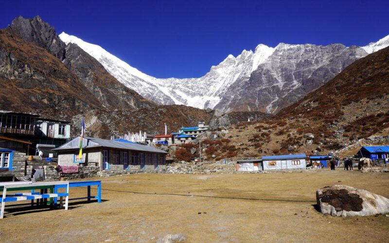 Langtang Valley Trek - Why Choose This Trek?