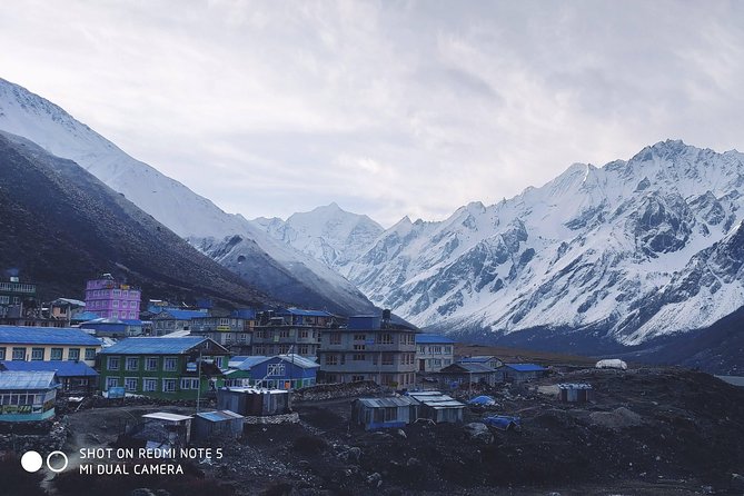Langtang Valley Trek - Authentic Encounters: Food & Accommodation