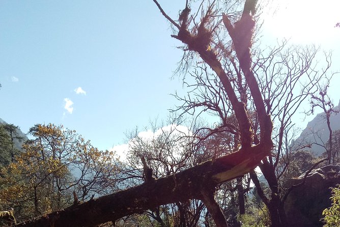 Langtang Valley Trekking - What to Expect from the Trek