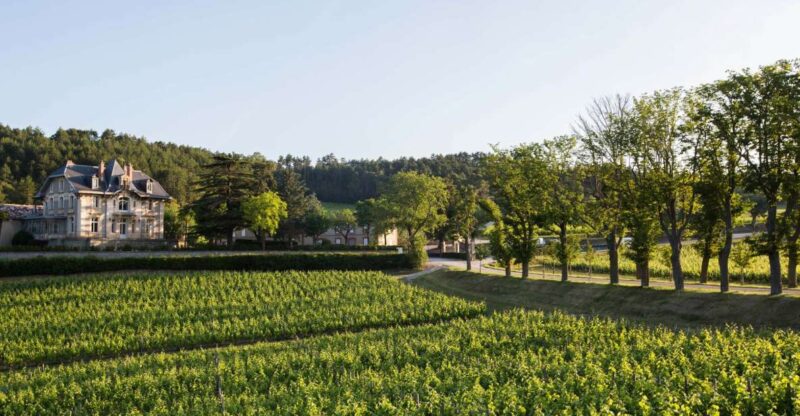 Languedoc: Tour and Tasting at Domaine de Baronarques - Who Is This Tour Best For?