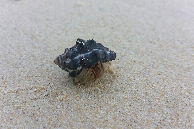 Lanta 4 Islands + Emerald Cave Snorkeling Tour - Frequently Asked Questions