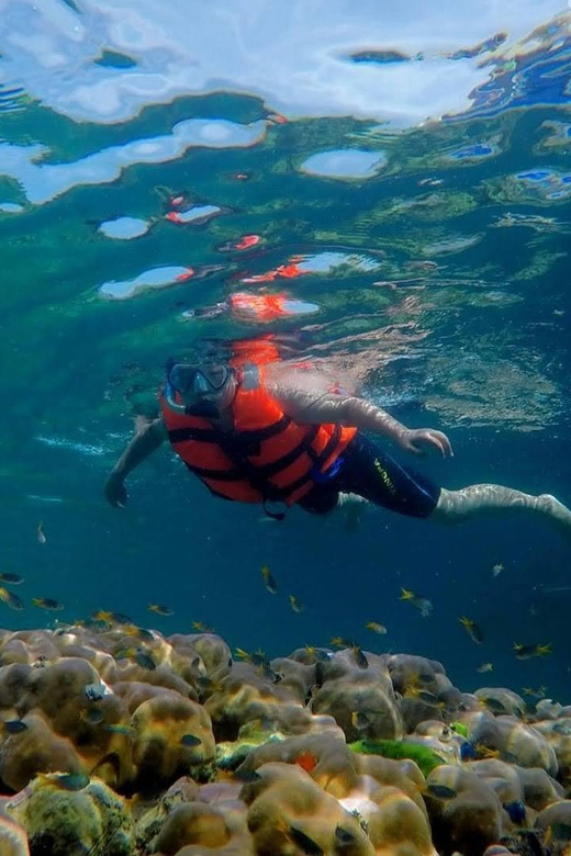 Lanta's Hidden Gems: 4 Islands by Traditional Longtail Boat - An In-Depth Look at Lanta’s Hidden Gems: 4 Islands by Longtail Boat