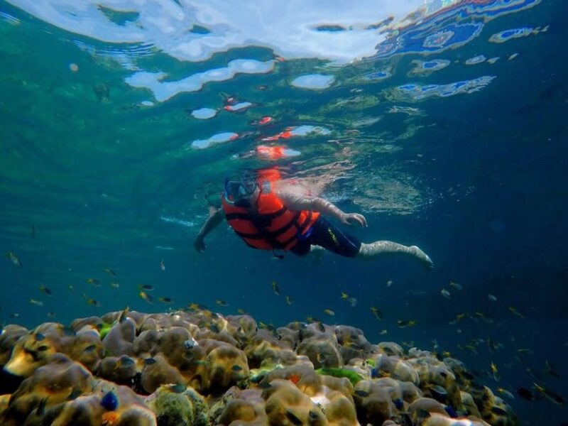 Lanta's Hidden Gems: 4 Islands by Traditional Longtail Boat - FAQs