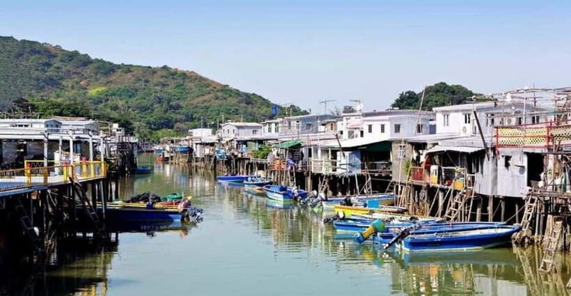 Lantau Island: Priority Cable Car, Tai O & Direct Transfer - Who Should Consider This Tour?