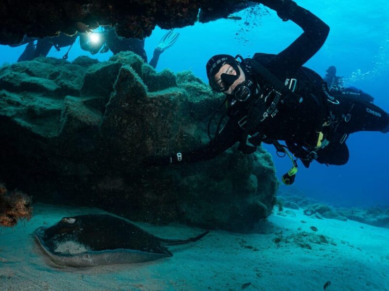 Lanzarote: 2-Dive Package for Certified Divers - Why This Tour Works Well for Certain Travelers