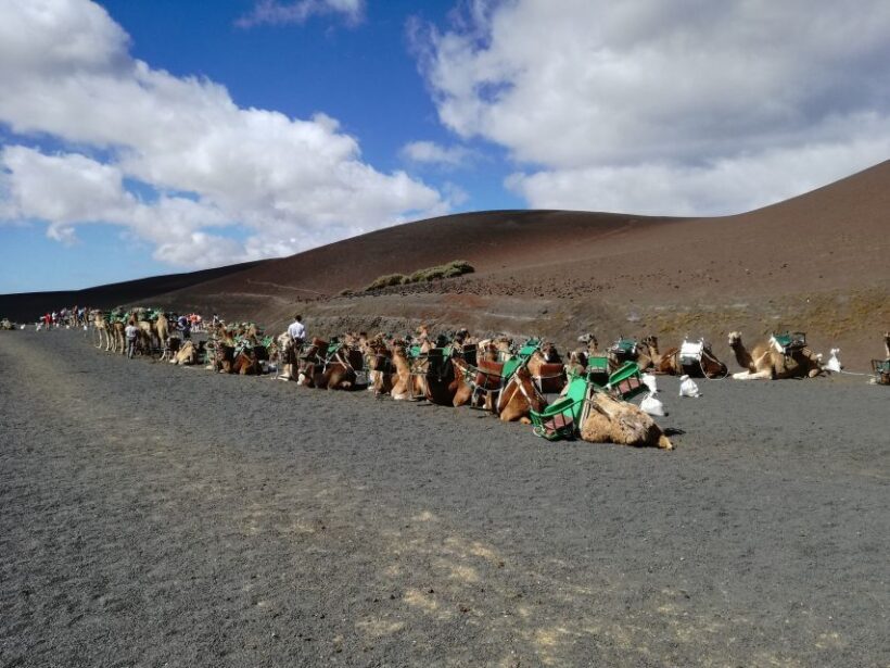 Lanzarote: 5-Hour Timanfaya National Park Southern Tour - Geothermal Demonstrations and the Fire Mounts