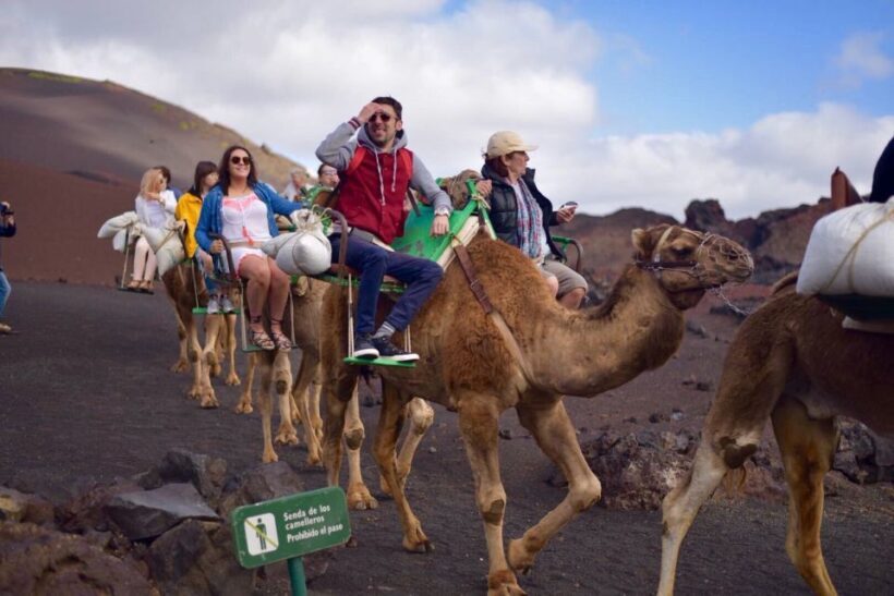 Lanzarote: 5-Hour Timanfaya National Park Southern Tour - Practicalities and What to Know