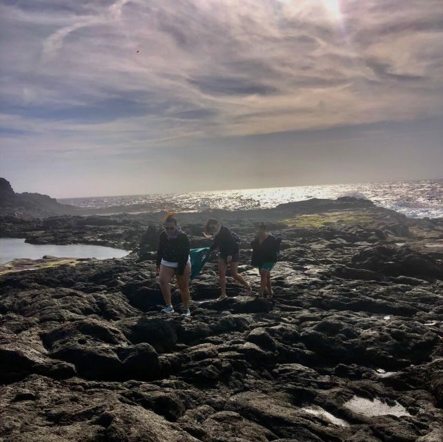 Lanzarote: A Different Perspective Guided Driving Tour - Discover Lanzarote’s Volcanic Tubes and Geological Wonders