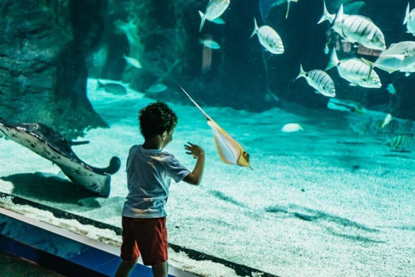 Lanzarote: Aquarium Entry Ticket - Key Points