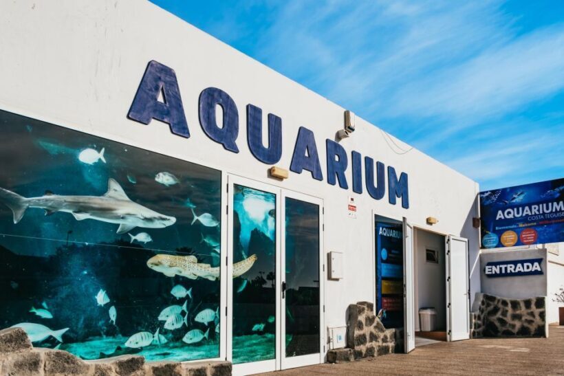 Lanzarote: Aquarium Entry Ticket - Introduction: A Quiet Marine Escape with Surprising Depth