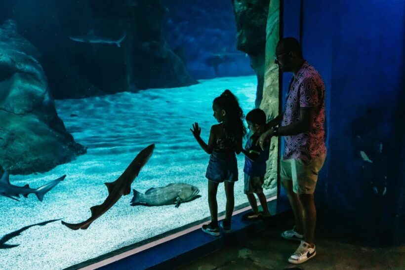 Lanzarote: Aquarium Entry Ticket - Final Thoughts