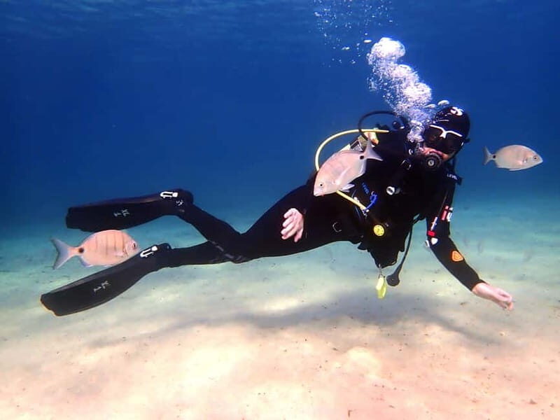 Lanzarote: Beginner Diving Course Costa Teguise (2 dives) - Who Is This Tour Best For?