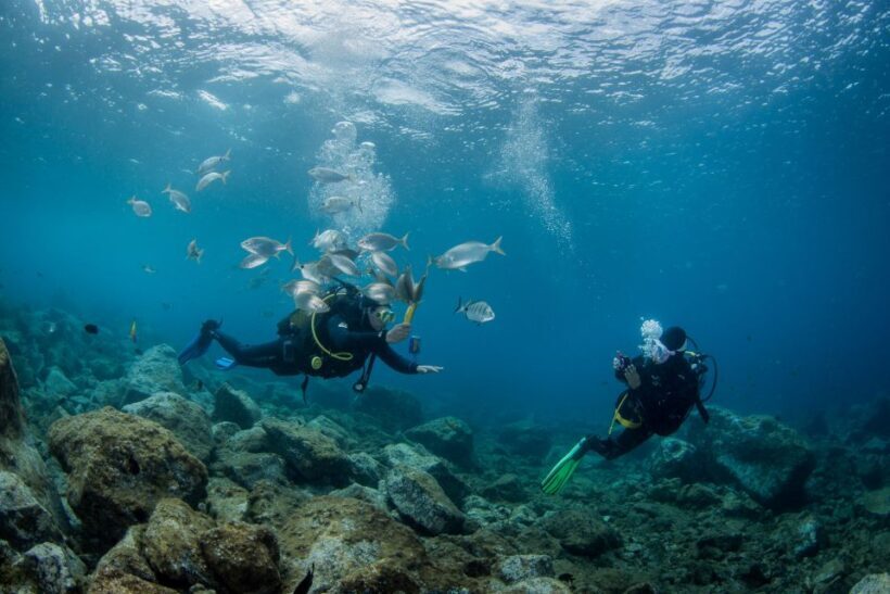 Lanzarote: Beginner Scuba Diving from the Beach - Logistics and Practical Details