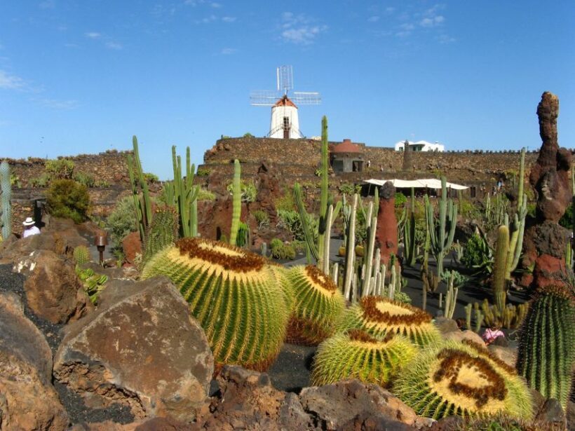Lanzarote Coast-2-Coast Tour - What the Reviews Say