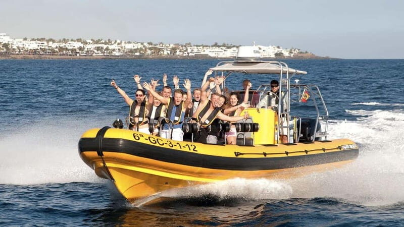 Lanzarote: Dolphin Watching by speedboat - The Sum Up: Is It Worth It?