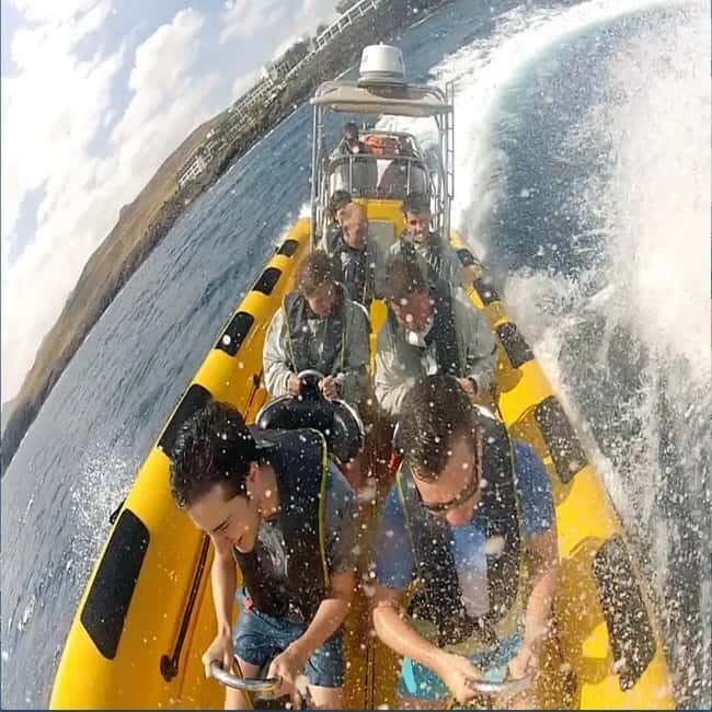Lanzarote: Dolphin Watching by speedboat - FAQ