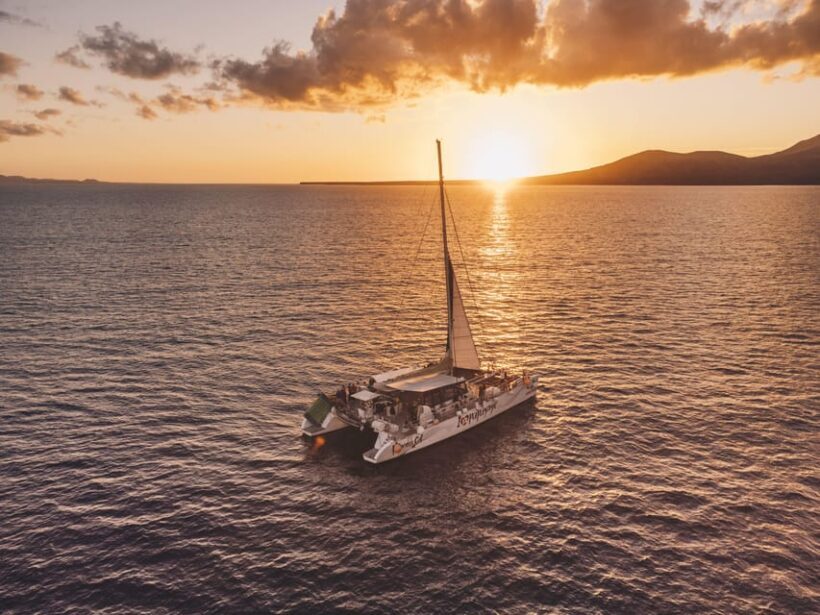 Lanzarote: Dolphin-Watching Sunset Cruise with Transfers - The Value of This Experience