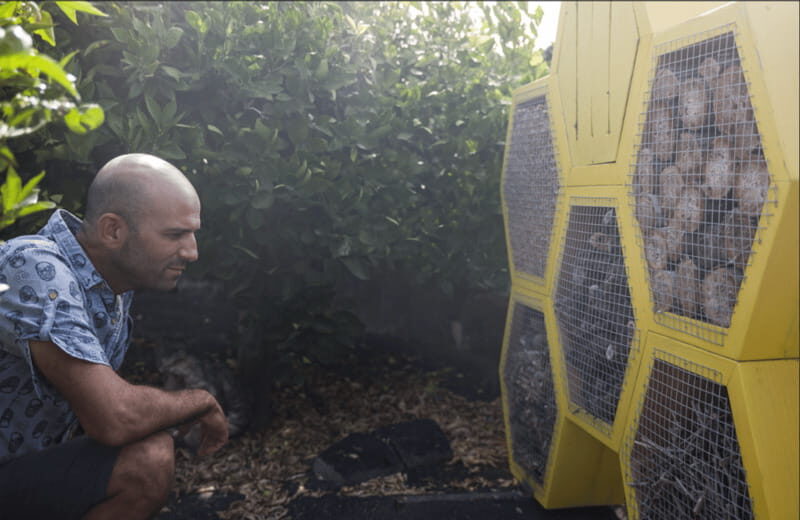 Lanzarote: El Grifo Wine Cellar Tour with Tasting - A Closer Look at the Tour Experience