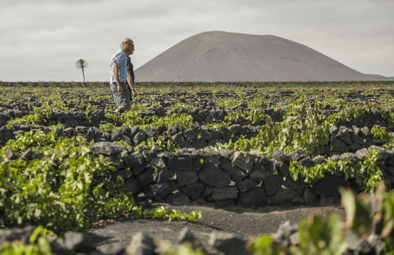 Lanzarote: El Grifo Wine Cellar Tour with Tasting - Authentic and Enjoyable