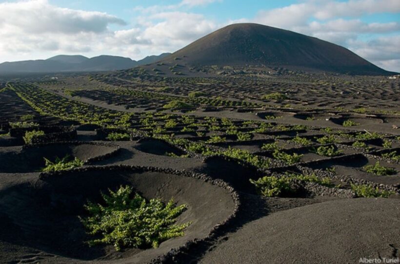 Lanzarote: Full Day Bus Tour with Scenic Views - Final Thoughts: Is It Worth It?