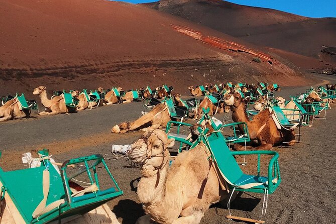 Lanzarote Grand Tour - Who Should Consider This Tour?