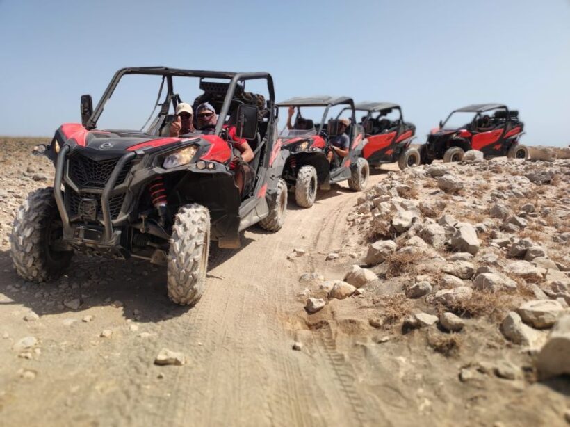 Lanzarote: Guided Can-Am Trail Buggy Tour - Key Points