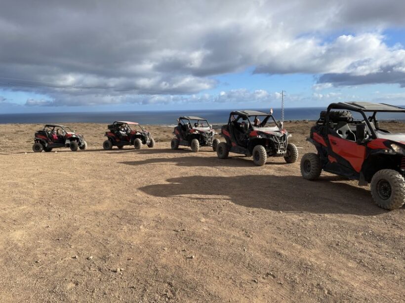 Lanzarote: Guided Can-Am Trail Buggy Tour - Who Will Love It?