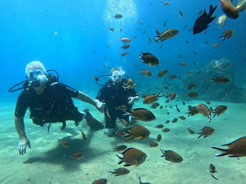 Lanzarote: Intro to Diving Experience for Beginners - How Do Reviews Reflect the Experience?