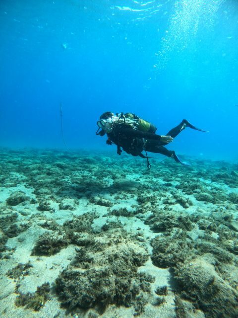 Lanzarote: Intro to Diving Experience for Beginners - Who Will Love This?