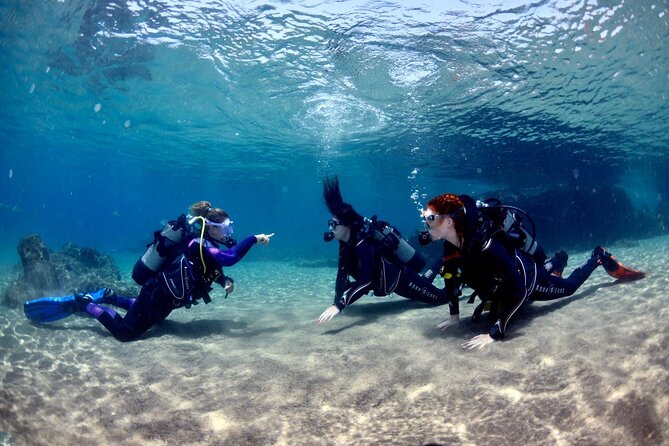 Lanzarote Introductory Scuba Diving Experience - Why This Experience Is Worth It