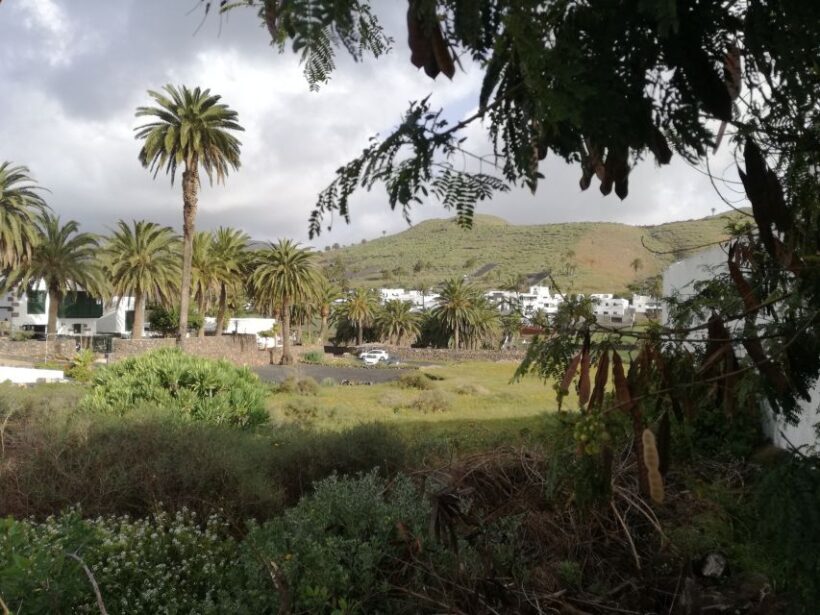 Lanzarote: Jameos del Agua & North Island for Cruise Guests - Who Might Not Find It Perfect?