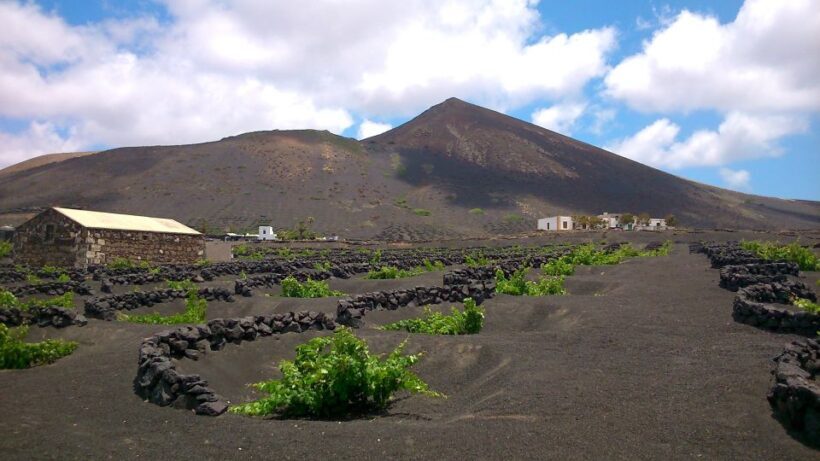 Lanzarote: La Geria Vineyards Hiking Tour - Key Points