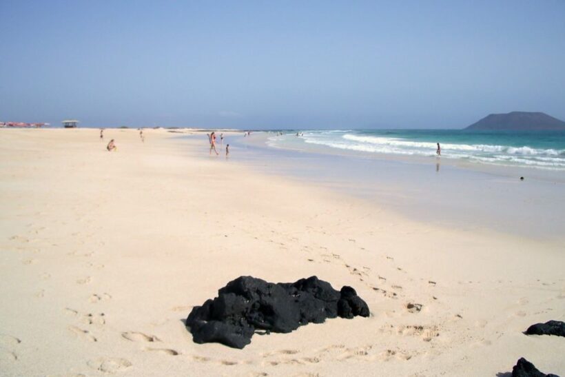 Lanzarote: Return or 1-Way Ferry to Fuerteventura with Wifi - Who Will Benefit Most From This Service?