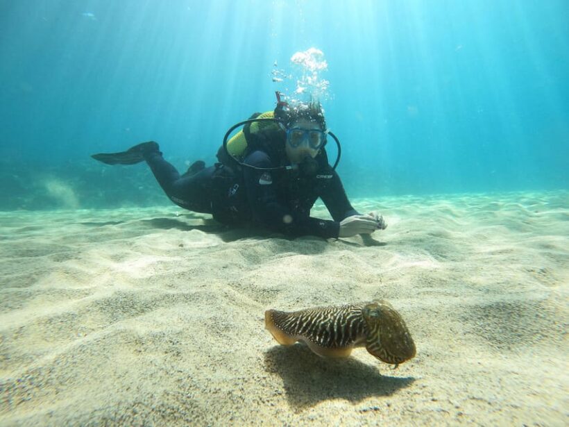 Lanzarote: Scuba Diving for Beginners - 1 Dive - An Honest Look at the Lanzarote Scuba Experience