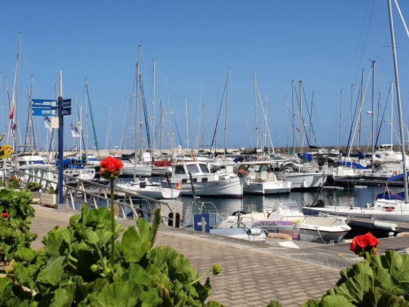 Lanzarote: Sea Safari Experience - FAQ