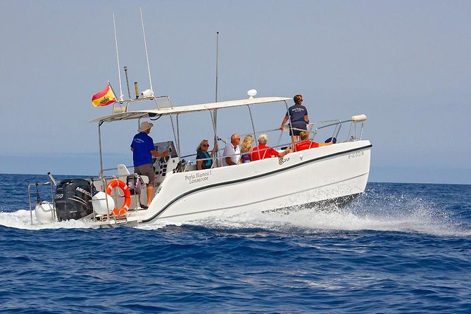 Lanzarote Sea Safari From Puerto Calero - Meeting Point and Logistics for the Activity
