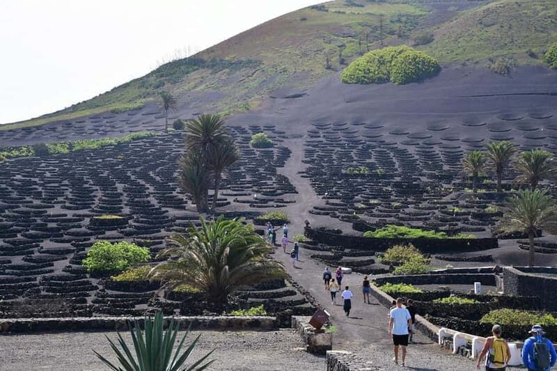 Lanzarote Shopping from Caleta de Fuste (Fuerteventura) - An Inside Look at the Lanzarote Shopping Tour